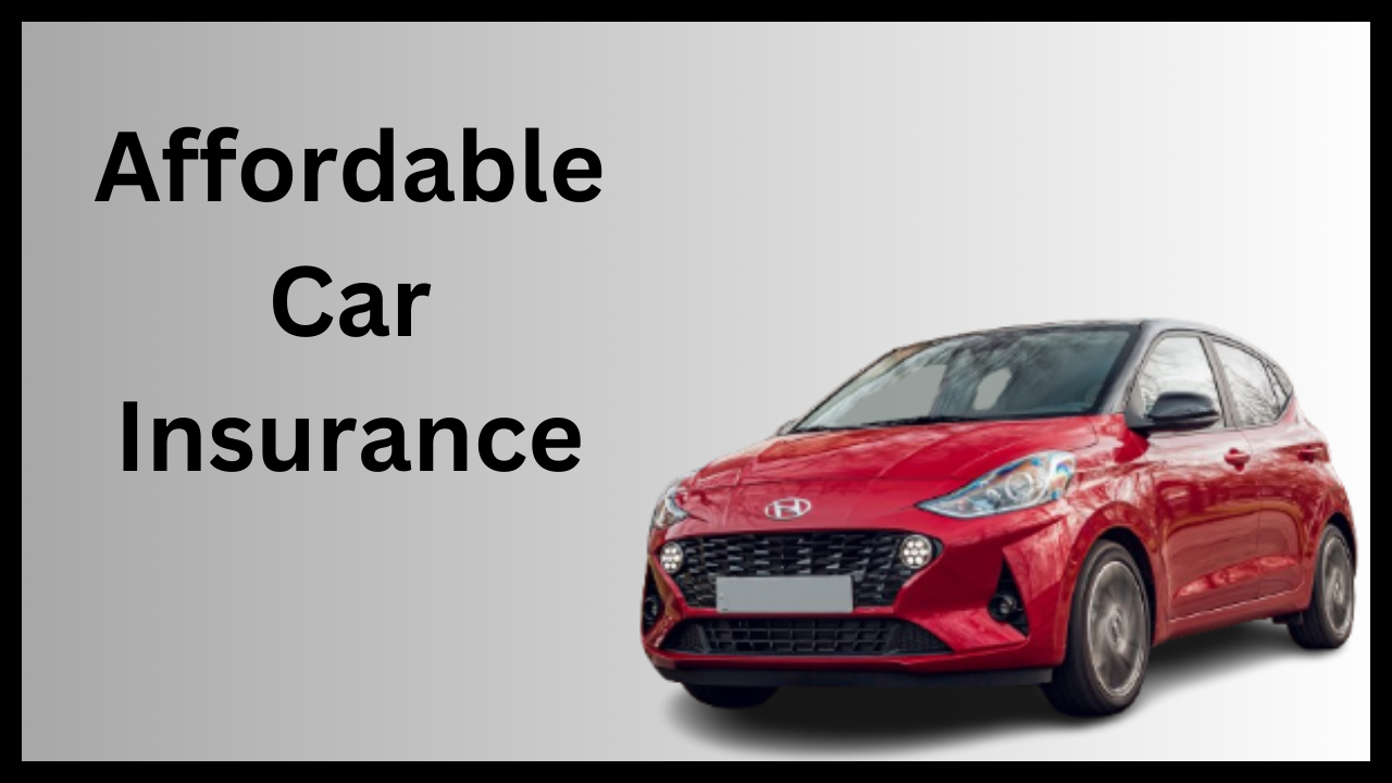 Affordable Car Insurance - Dunya Food