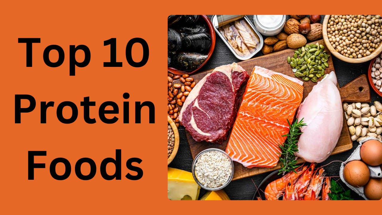 Top 10 Protein Foods - Dunya Food